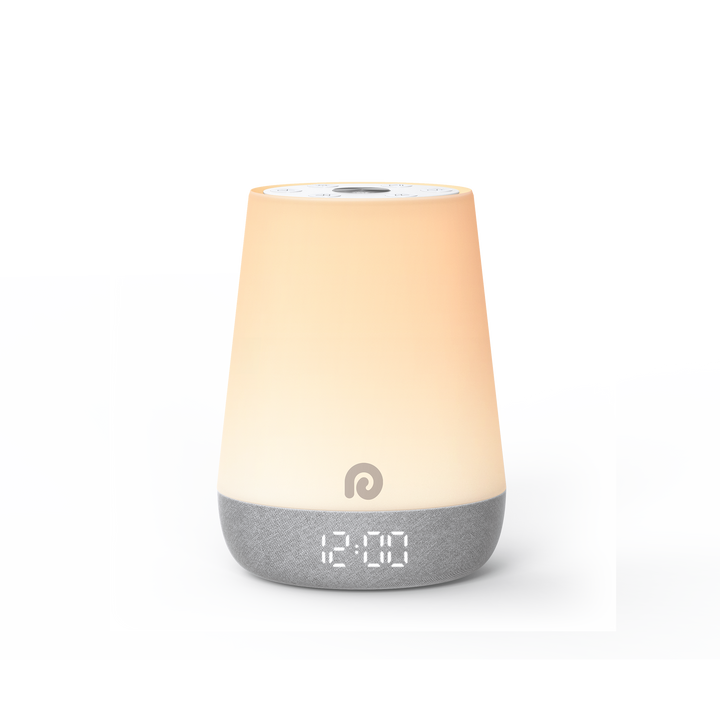 All Products – Dreamegg
